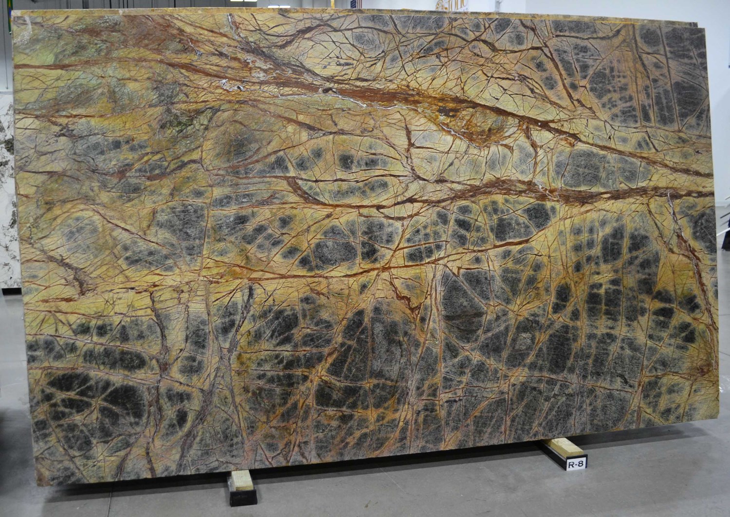 Rain Forest Marble - EconGranite